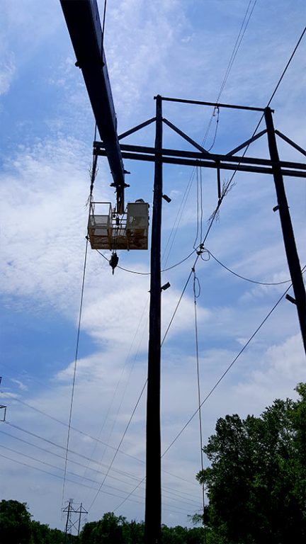 Commercial Bee Removal from Utility Pole with Pictures | Bullseye Pest ...